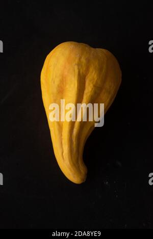 Deformed ugly orange pumpkin in a child hands Stock Photo - Alamy