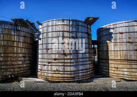 Large old wooden barrels for pickling brine Stock Photo - Alamy