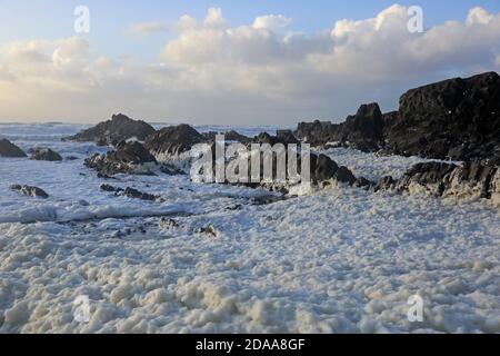 Sea Spume on the beach at Welcombe Mouth during a storm in Cornwall ...
