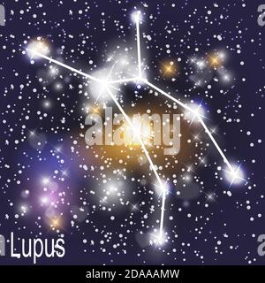 Lupus the wolf constellation on a starry space background with the ...