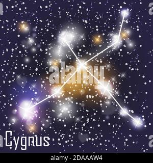 Cygnus the swan constellation on a starry space background with the ...
