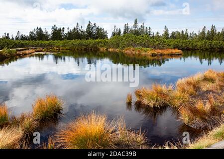 Clouds reflecting in dark swamp water of Lovrenska lakes, Slovenia ...