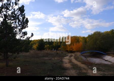 View of the canal, in autumn, yellow birches on the bank and reflection ...
