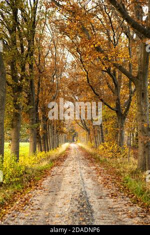 Amazing rural scene on autumn valley Stock Photo - Alamy