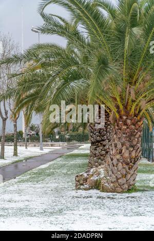 global warming and climate change effecting the environment and weather ...