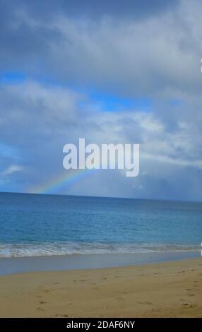 Beautiful Antigua beach landscape, bright blue sea, palm tree shadow ...