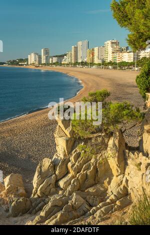 BEACH PLATJA D’ARO COSTA BRAVA CATALONIA SPAIN Stock Photo - Alamy