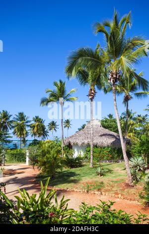 Tropical garden with palm trees. Samana, Dominican Republic. Nature ...