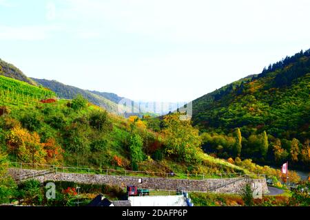 Mosel valley at Klotten Stock Photo - Alamy