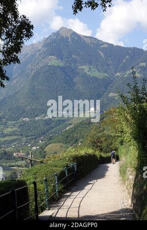 Blick vom Tappeinerweg über Schloss Tirol zur Mutspitze, Meran ...