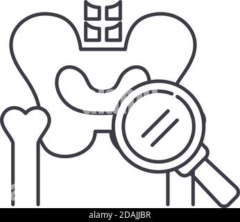 bone densitometry line icon, outline symbol, vector illustration ...