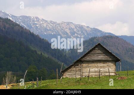 Simple log cabin back in the woods Stock Photo - Alamy