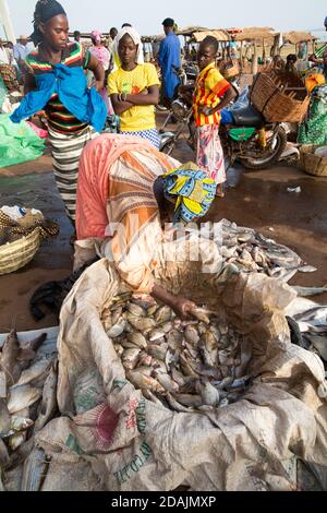 Carriere Fish market, Selingue, Mali, 27th April 2015; children of a ...