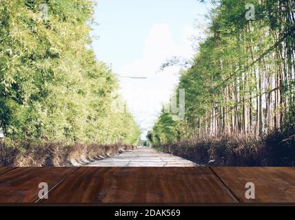 high bamboo tree growing both side of road Stock Photo - Alamy