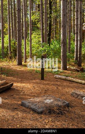 Dispersed camping at Sand Ridge State Forest, Mason county, Illinois ...