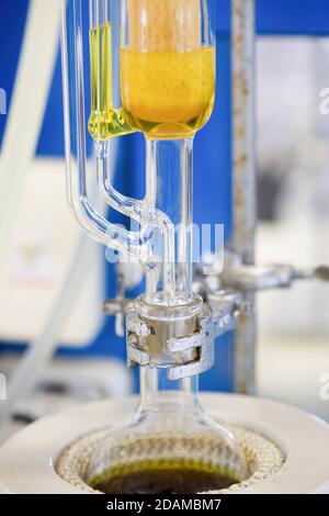The Syphon Chamber Stock Photo - Alamy
