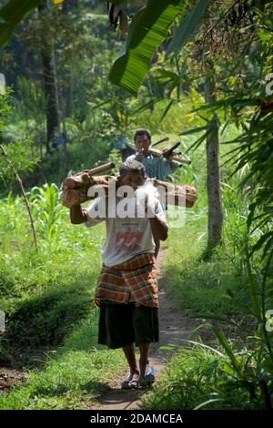 Indonesia, Lombok, man working in field Stock Photo - Alamy