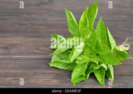 Fresh green basil, copy space. Green juicy basil herb on light textured ...