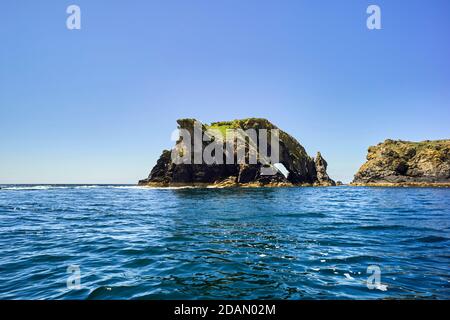 The drinking dragon rock at the Calf of Man off the coast at the Isle ...