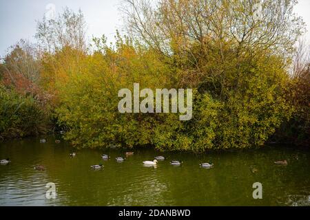 Ice House Hill Park Dundalk Stock Photo - Alamy