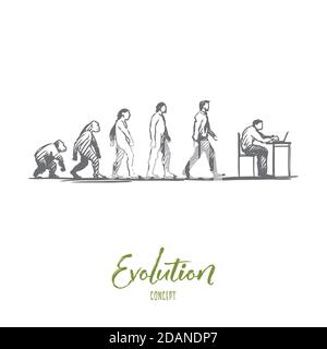 Human evolution, monkey, caveman, businessman, cyborg. Male character ...