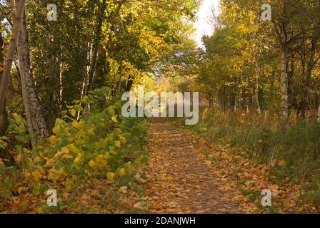 footpath from Darnick to Melrose in early winters morning Stock Photo ...