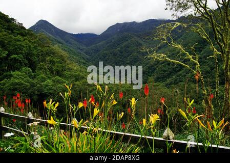 Alpine landscape Cordiliera Central, Colombia, South America Stock ...
