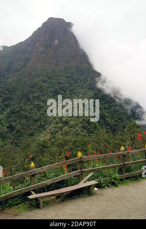 Alpine landscape Cordiliera Central, Colombia, South America Stock ...