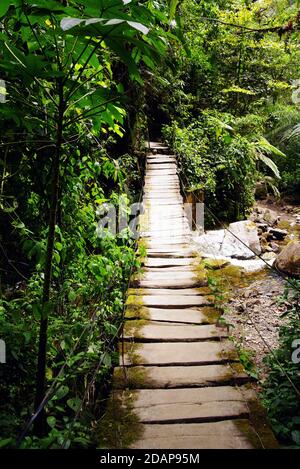 Alpine landscape Cordiliera Central, Colombia, South America Stock ...