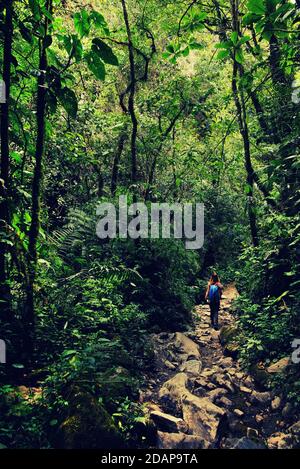 Scenic alpine landscape of Cocora valley, Salento, Colombia, South ...