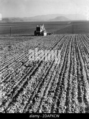 Historic Camarillo, California Stock Photo - Alamy