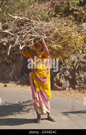Woman carry branches over her head - India Stock Photo - Alamy