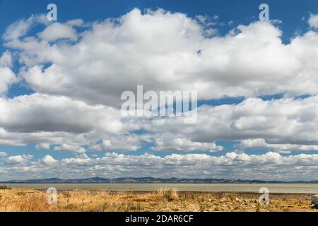 Firth of Thames, Oceania, mudflats and salt marshes Waikato, North ...