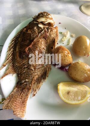 Fish from the Sea of Galilee, Israel Stock Photo - Alamy