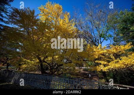 The Pinebank Arch Bridge in Central Park, New York City Stock Photo - Alamy