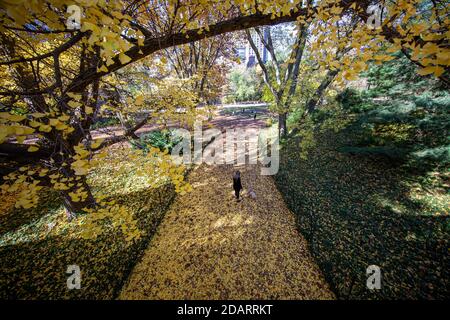 The Pinebank Arch Bridge in Central Park, New York City Stock Photo - Alamy
