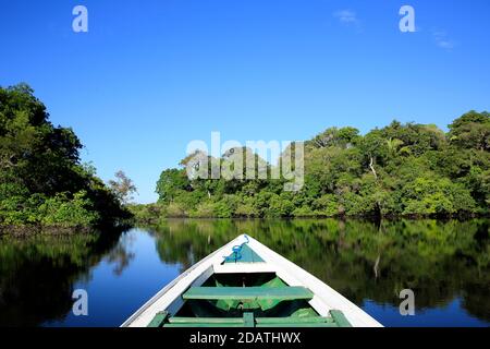 Amazon rainforest Brazil Stock Photo - Alamy