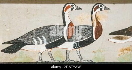 Painting of the Meidum Geese, Museum of Egyptian Antiquities, Cairo ...