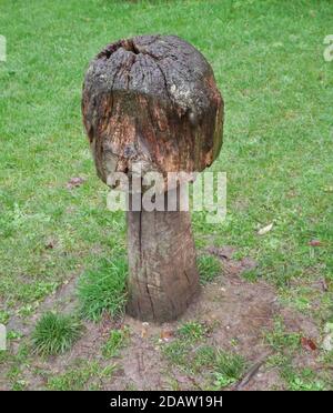 HIgh Elms, Bromley, Kent, England Stock Photo - Alamy