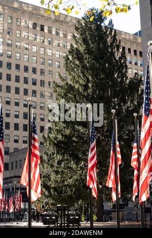 The iconic Christmas tree arrives at Rockefeller Center just in time ...