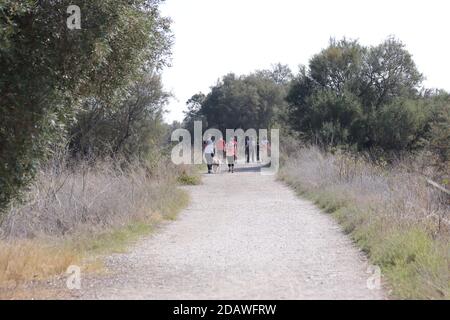 Pathway through landscape of Guadalhorce river estuary nature reserve ...