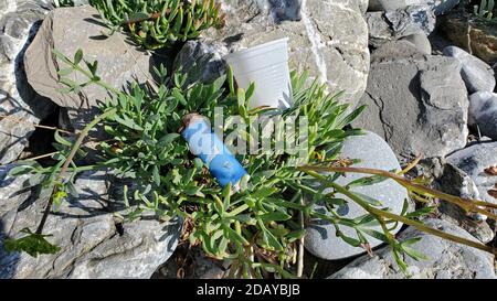 Corroded Plastic lighter trash on sandy sea ecosystem,microplastics sea ...