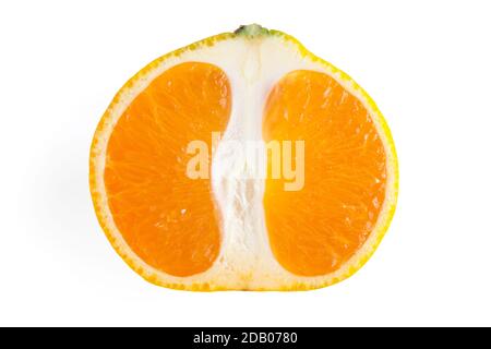 Japanese orange, mikan, isolated on white background Stock Photo - Alamy