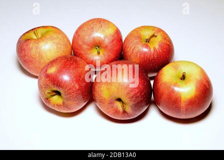 Braeburn apples on a plain white background, UK Stock Photo - Alamy