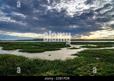The Swale In Kent Leading To The River Medway And Stangate Creek Stock ...