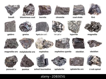set of various unpolished black minerals with names cutout on white ...