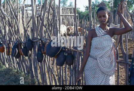 Woman from the semi-nomadic Orma tribe milking a cow in her village in ...