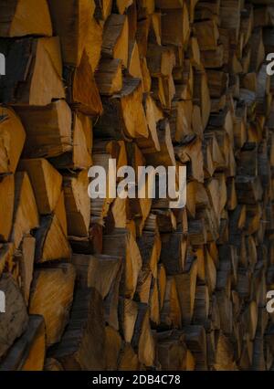 A vertical shot of sawed tree trunks and branches in different sizes ...