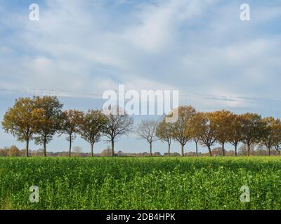 Autumn in the german muensterland Stock Photo - Alamy