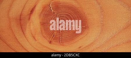Larch wood plank board useful as a background Stock Photo - Alamy